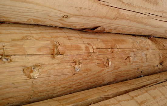 Round Pine Wood Poles| Thatch Roof - Materials - Extras | Palapa Structures